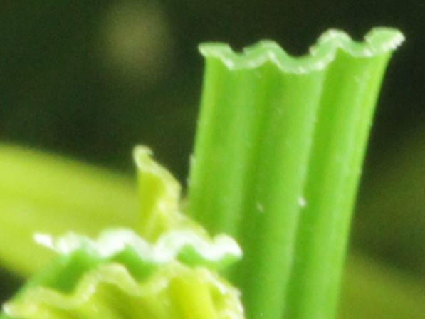 Artificial Grass Baltimore, MD | Premium Synthetic Turf Solutions
